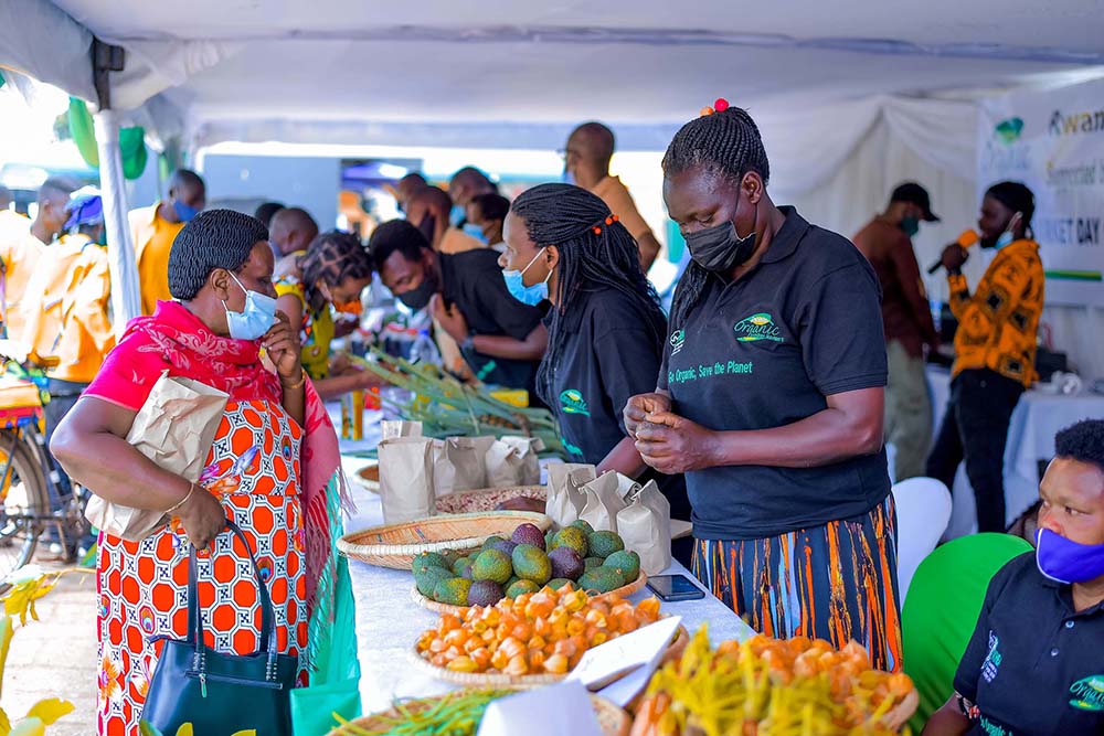 ROAM | Rwanda Organic Agriculture Movement